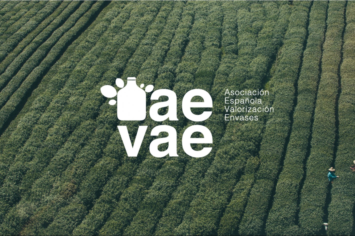 ADCV – Martinez Branding